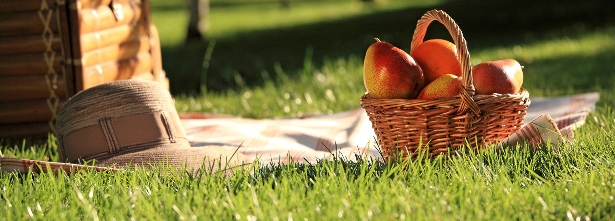 Star Shop – National Star